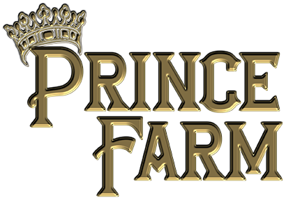 Prince Farm LLC – World Champion Breeding, Halter, and Performance Horses
