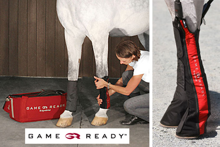 Rehab – Prince Farm LLC