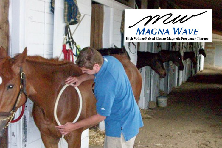 Rehab – Prince Farm LLC